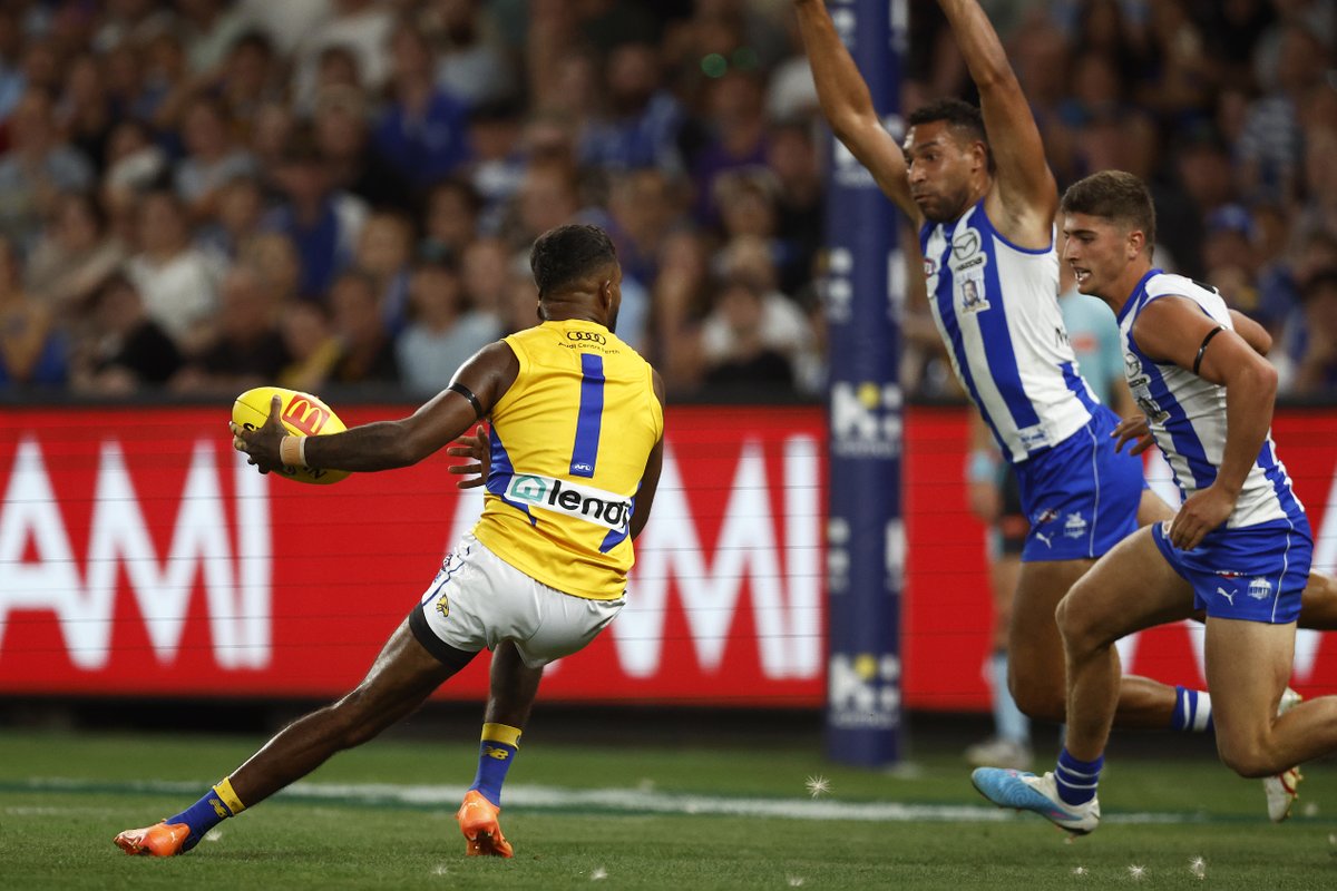 AFL on Twitter: "A classic Liam Ryan moment 🔥 #AFLNorthEagles"