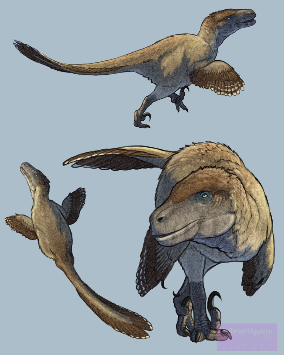 Gabriel N. U. (@SerpenIllus) さんのイラスト・マンガ作品まとめ (1,434 件) - Twoucan