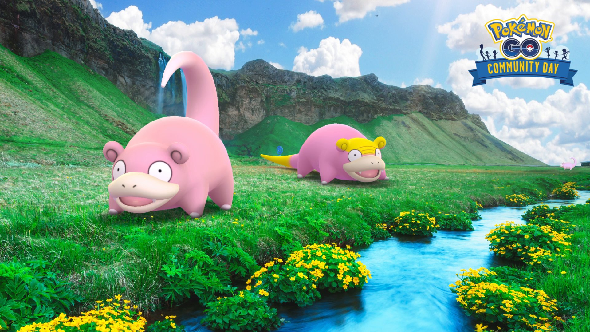 Pokemon Slowpoke Hd Wallpaper Slowbro HD Wallpapers Free Desktop