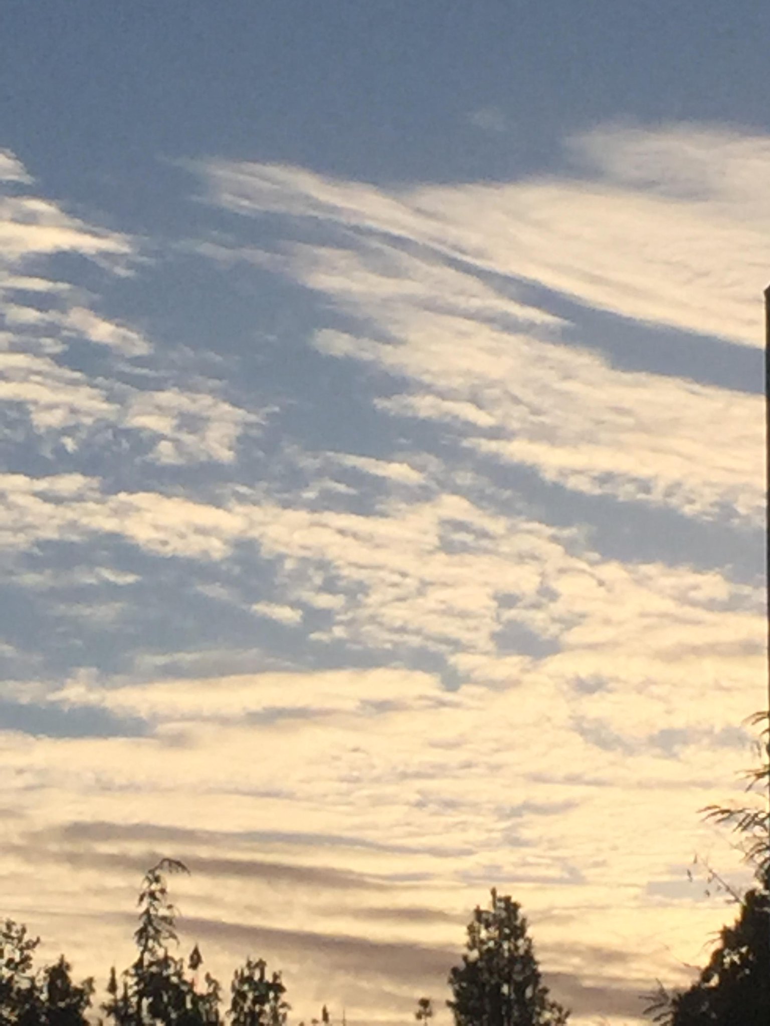 Dana Vespoli on Twitter: "Good morning☀️☕️ https://t.co/0irYY5DCRL ...