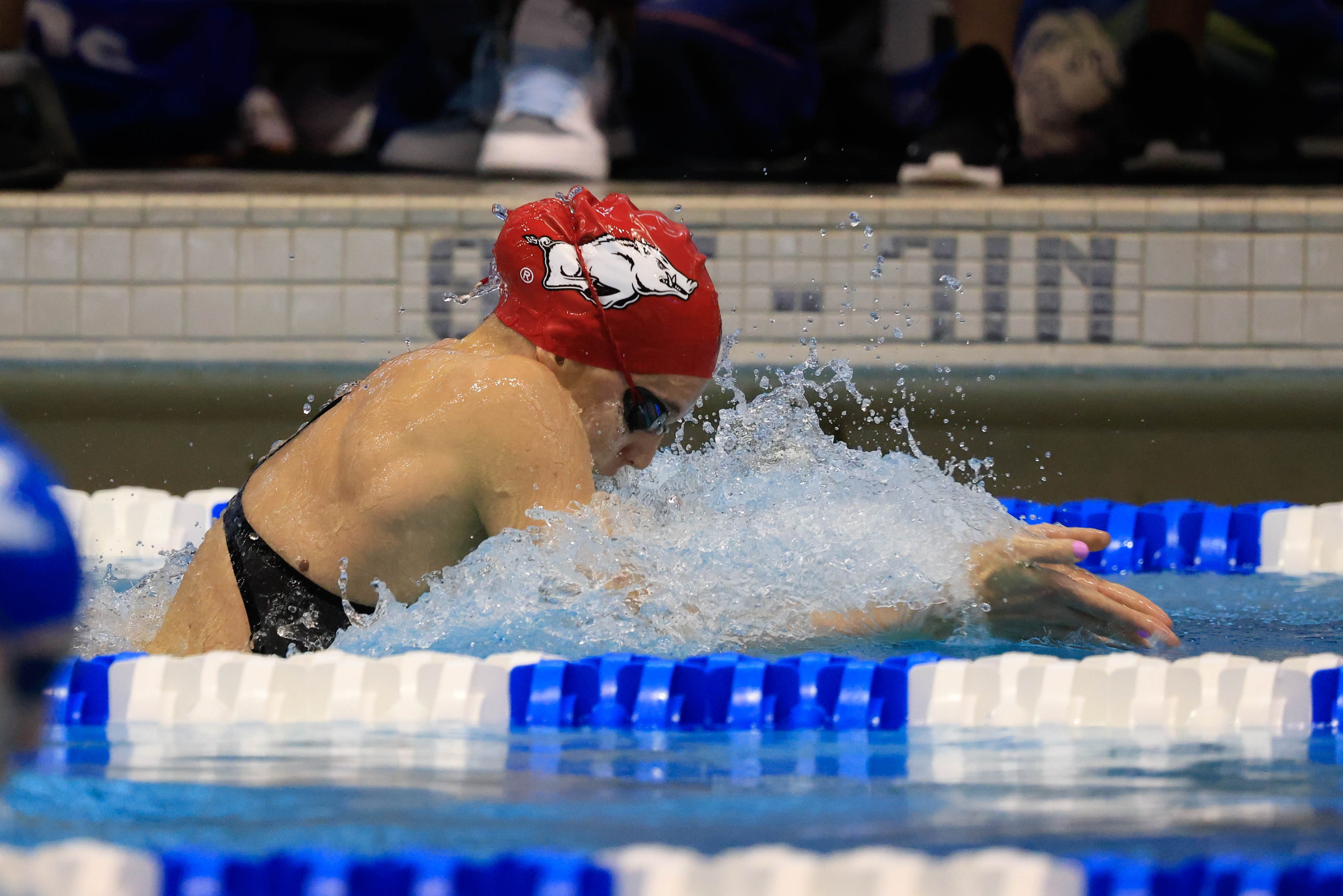 Razorback Swim And Dive Razorbacksd Twitter