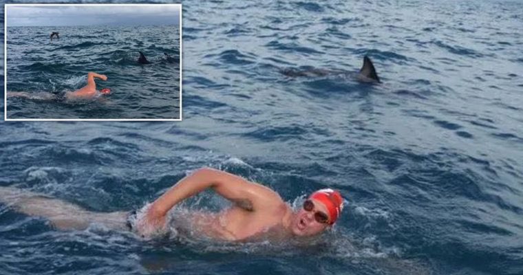 น้องทรายREST on Twitter: "RT @ManOnelife: 𝙼𝚛.𝙰𝚍𝚊𝚖 𝚆𝚊𝚕𝚔𝚎𝚛 กำลังว่ายน้ำแถวๆช่องแคบคุก ในนิวซีแลนด์ ...