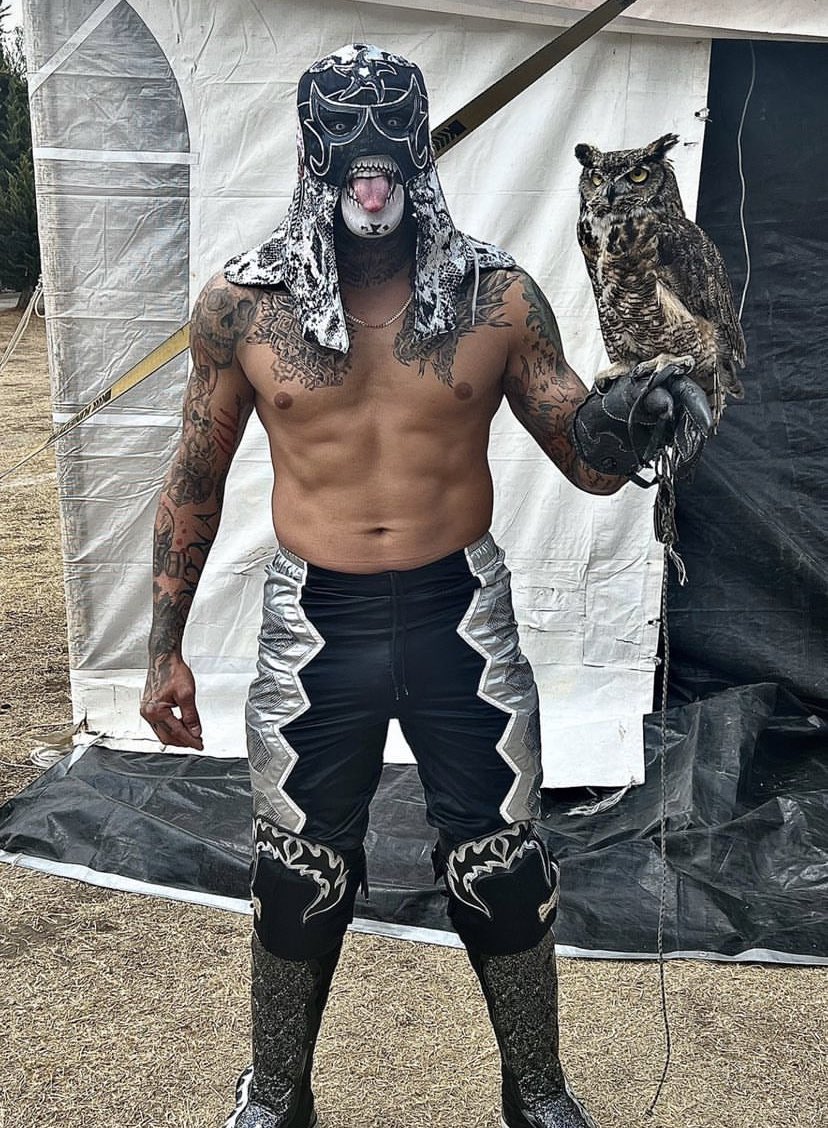 Lucha Brothers MX [fans] on Twitter: "Penta found his spirit animal! 🦉 https://t.co/QMbyJZaSeQ ...