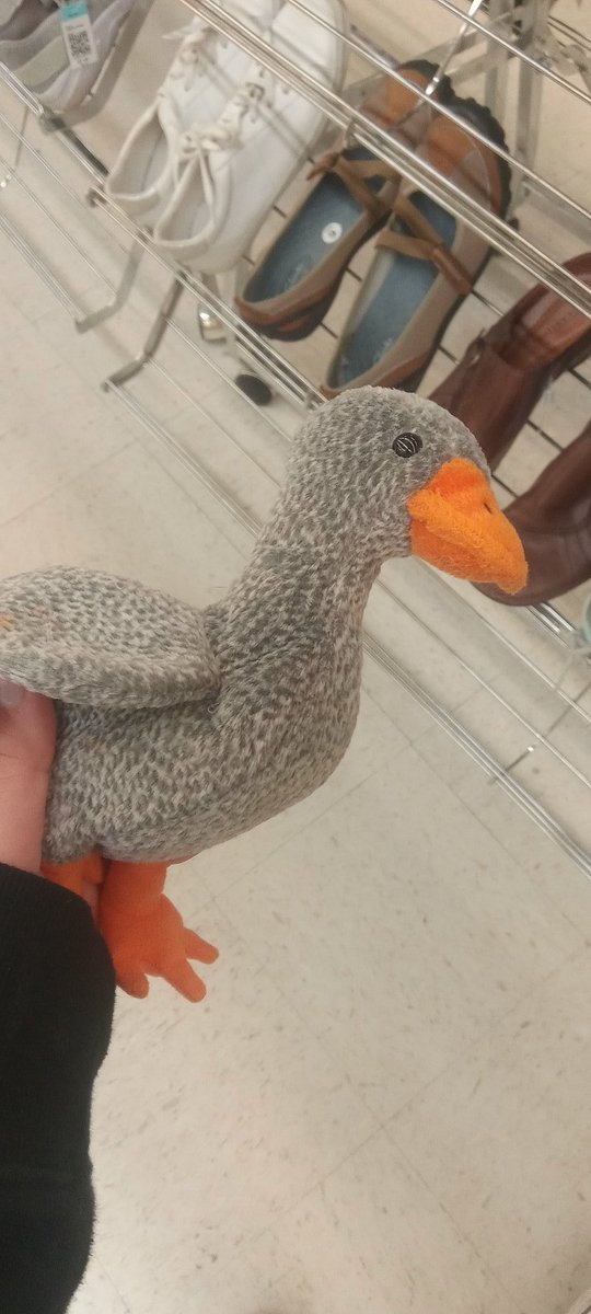MARCUS QSMP On Twitter what Do I Name It marcus-qsmp-on-twitter-what-do-i-name-it