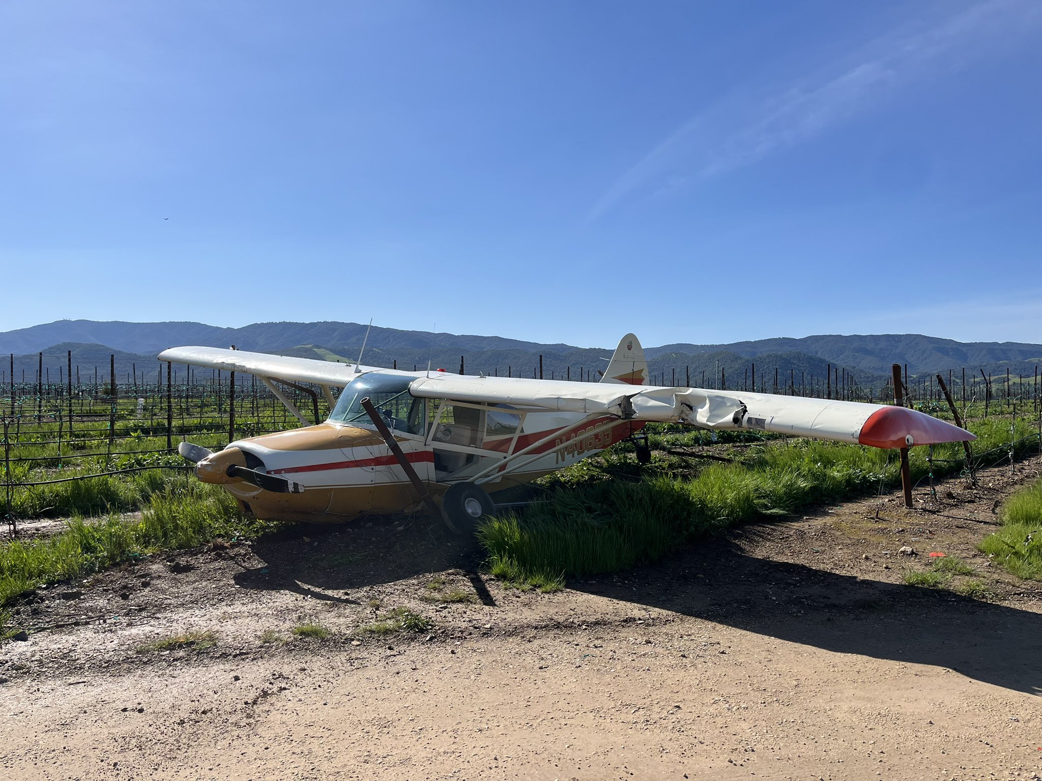 Small Plane Emergency Lands in Santa Ynez Vineyard | Edhat