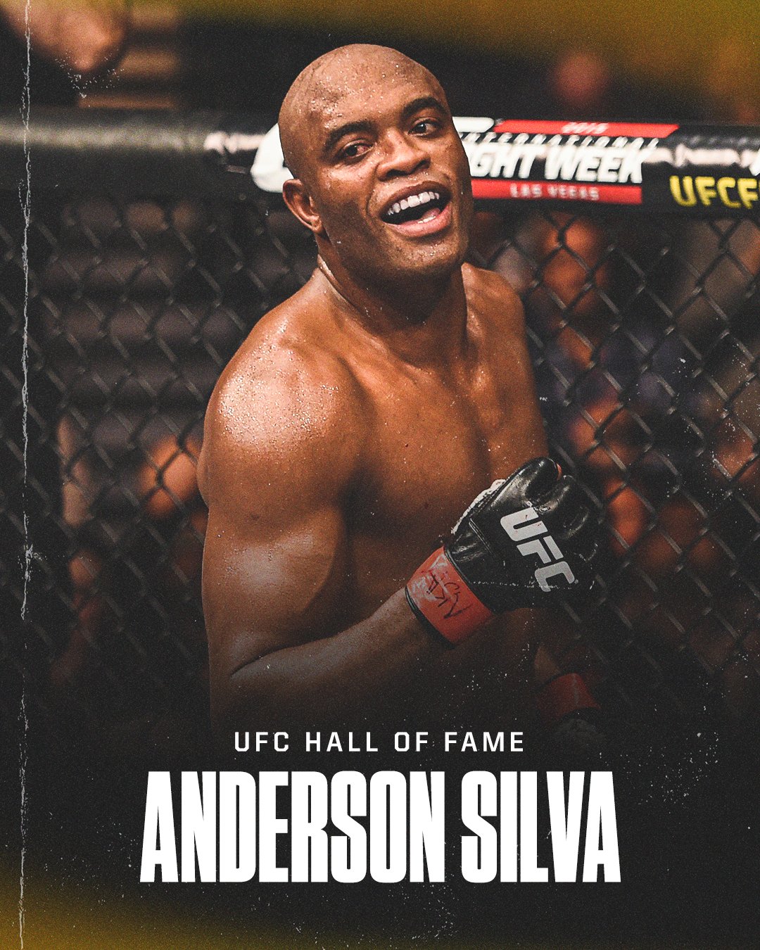 Anderson Silva Quotes