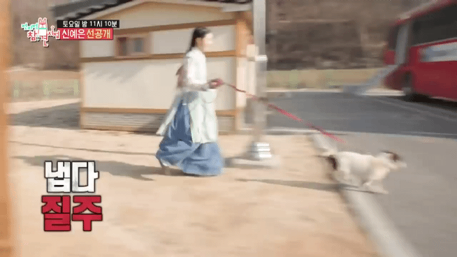 instiz on Twitter: "산책당하는 신예은.jpgif (링크에 더있어요👉) https://instiz.net/pt/7346328"