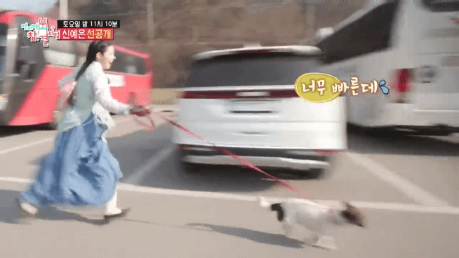 instiz on Twitter: "산책당하는 신예은.jpgif (링크에 더있어요👉) https://instiz.net/pt/7346328"