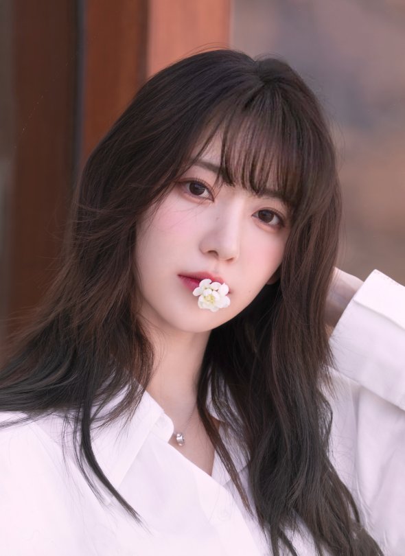 joe SAKURA DAY on Twitter: "ACTUALLY NEED SAKURA WITH BANGS BACK https://t.co/3ld02RXLW7" / Twitter