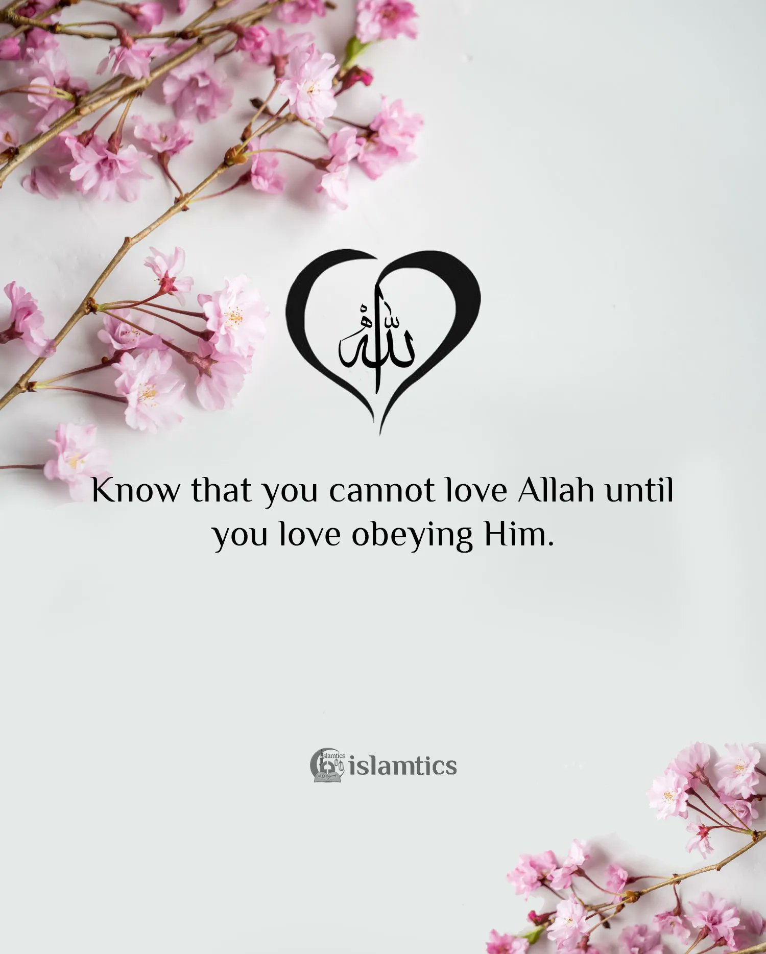 I Love Allah Quotes Surely Allah Love The Repenters Islamic Quran