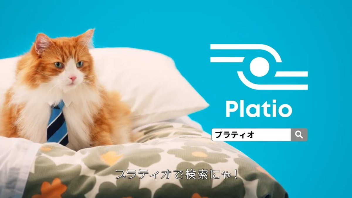 Platio（プラティオ） on Twitter: "\CM公開中📣 ／ どんな業務にもピタッとフィットするアプリ作れます 月額2万円で、DXし放題 ️ Platio製品CM https ...