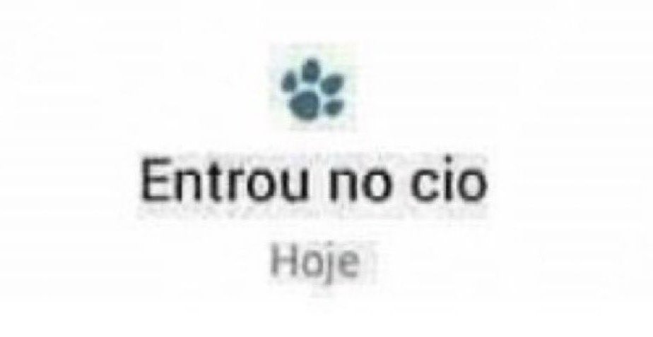 Ninfeta do Gore MM3 31/3☭ on Twitter: Ninfeta do Gore MM3 31/3☭ on Twitter: