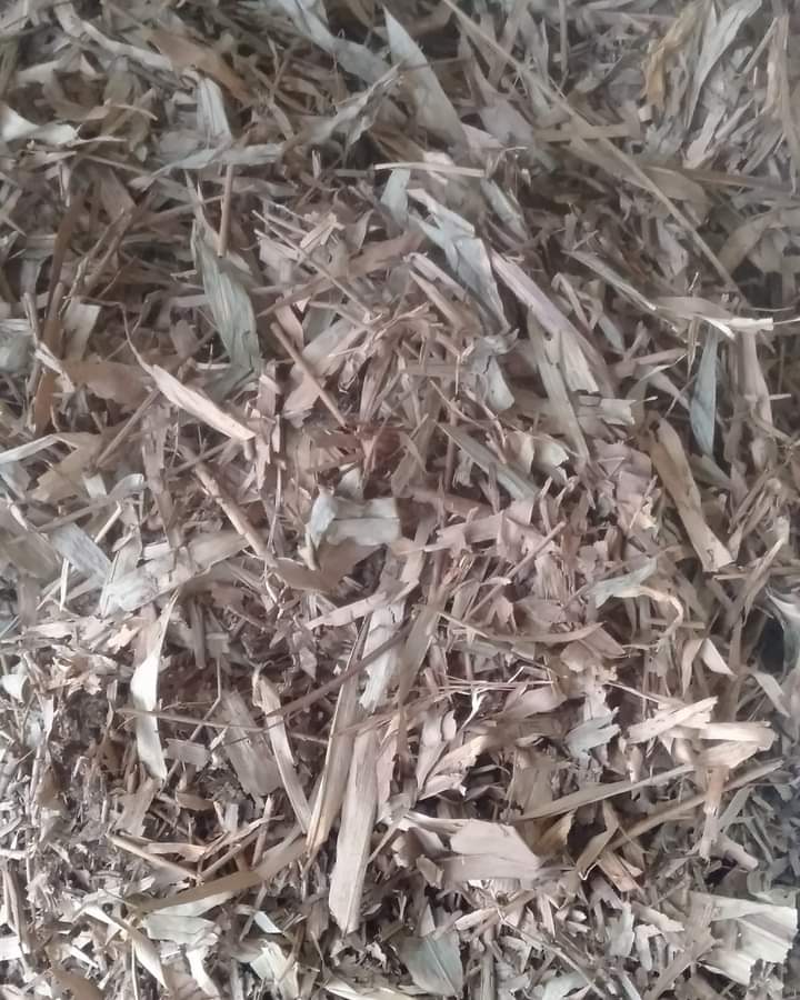 𝗠𝘂𝗹𝘀𝗮 𝗢𝗿𝗴𝗮𝗻𝗶𝗸 (𝗔𝗹𝗮𝗺𝗶) Mulsa adlh bahan penutup tanah yg dimaksudkan utk ...