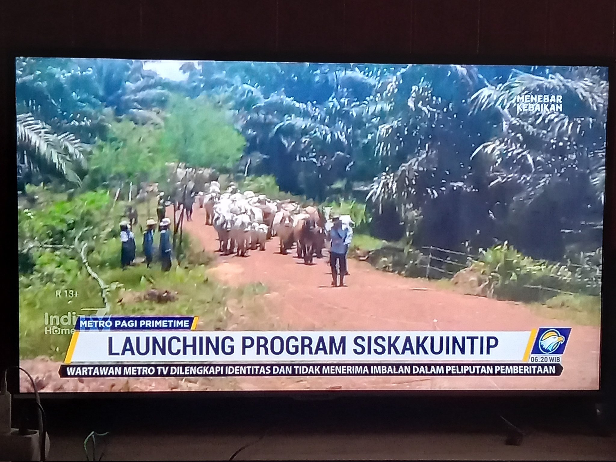 Muklis on Twitter: "siskakuintip https://t.co/RmB0e6z09Q" / Twitter