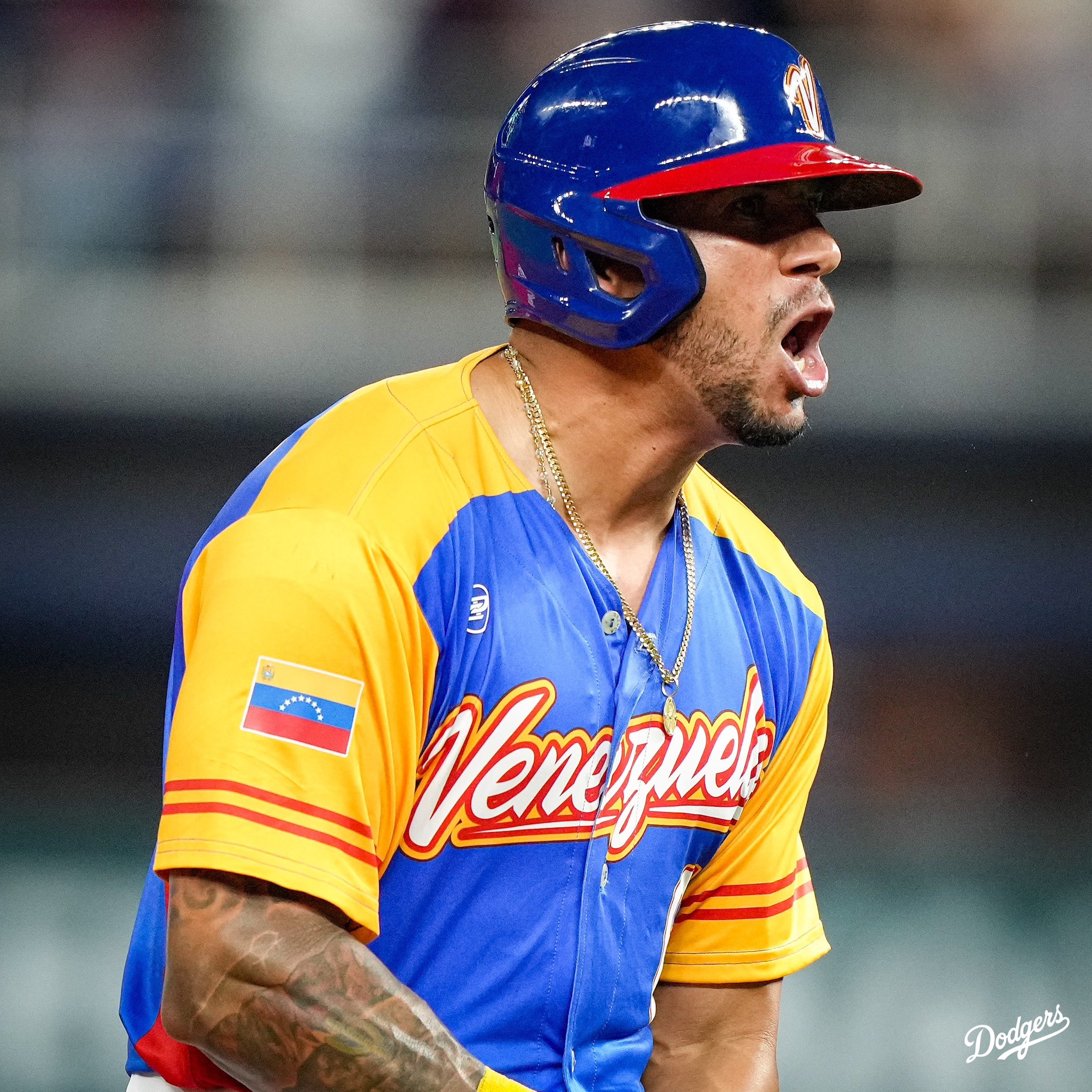 Venezuelan Baseball Logo