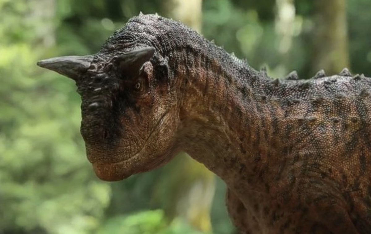 El Reptileano (open commissions) on Twitter: "No need to fix a well made model... in case the PP ...