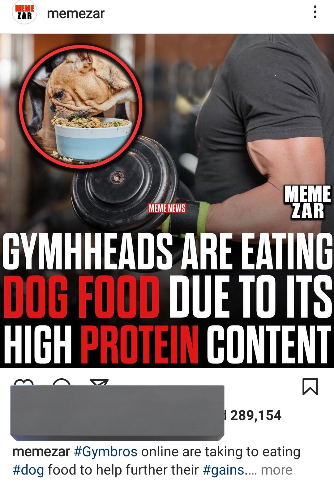 Gym Protein Memes