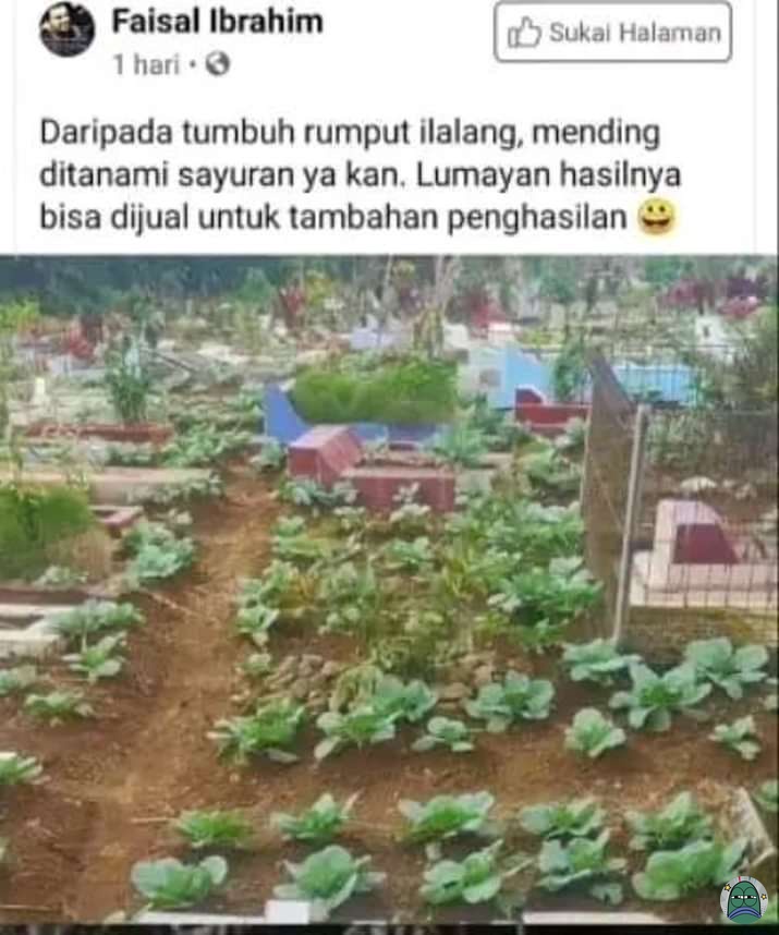 Tanyarl ㅡ 🚫 Rep OOT/JUALAN/LINK AFF on Twitter: "Tanyarl too much gak sih ide usaha kayak gini ...