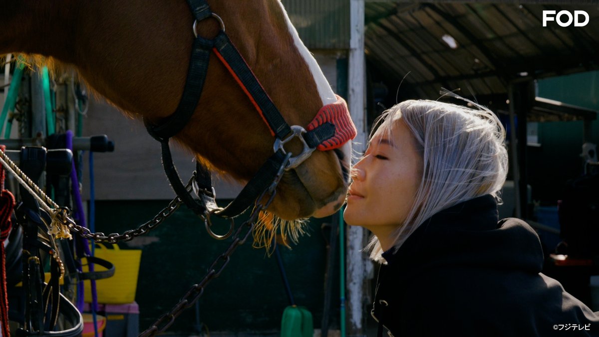 【公式】FOD(動画も雑誌も見放題) on Twitter: "『ONE hour Sense -#1Hセンス-』⏱ 2023/3/19放送 見逃し無料配信開始！🆓 あなたは、1時間あったら ...
