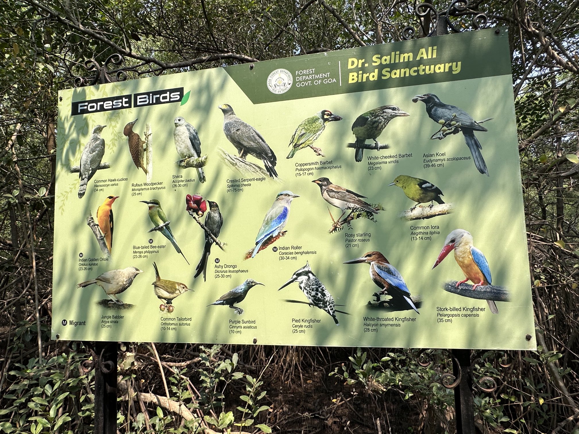 Salim Ali Bird Sanctuary