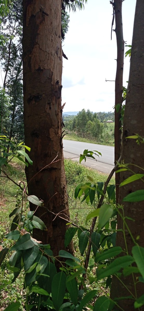 √ Kenya — Sirari Corridor Accessibility & Road Safety Improvement ...