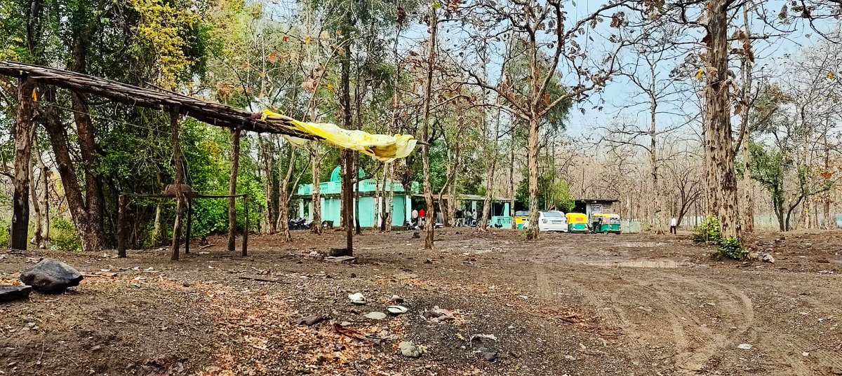 In the midst of teak jungle 50km from #Indore , live roughly 2000 ...