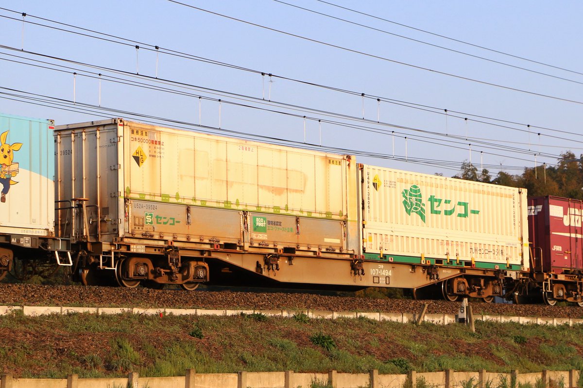 kamotudaisuki on Twitter: "今朝は 久しぶりのテンハルでパーイチキンタカモツwithコンテナ… 4093レ EF81-454 号機 61レ EH500-46 号機 ...