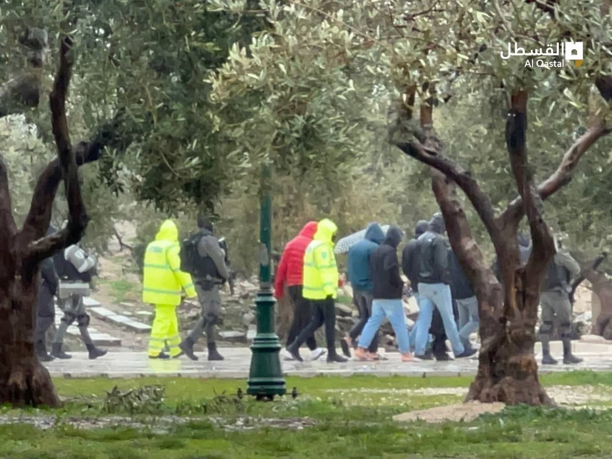 Quds News Network On Twitter In Pictures Colonial Israeli Settlers
