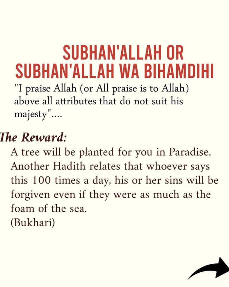 Easy Dhikr And Their Rewards For Ramadan. ️ ️ Keep It In Your Timeline. 🌻📿 - Thread from Cool ...