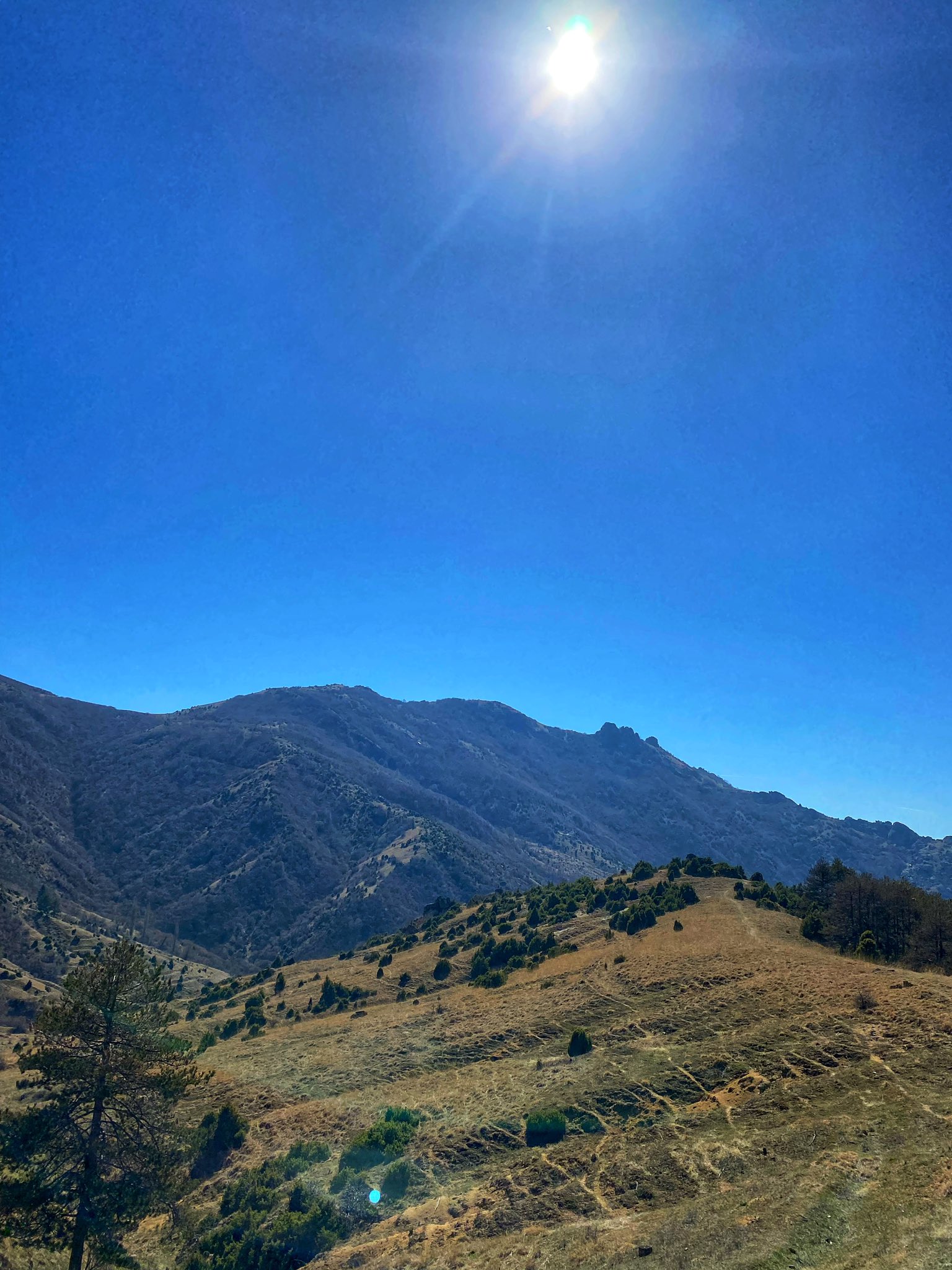 Девојката со кафето On Twitter Неделеење 🏔️☕️ Ама ептен убав ден 🫶