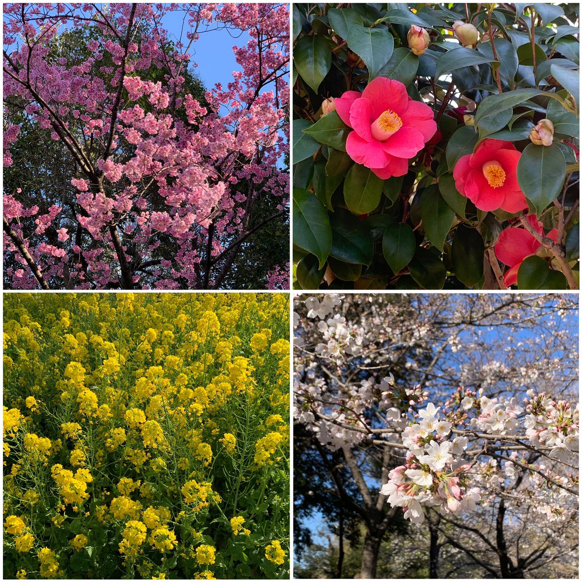 まりんこ(@ma_ri_n_ko) - Twilog (ツイログ)