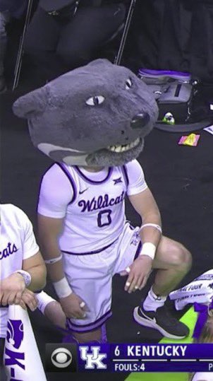 Kansas State University Mascot