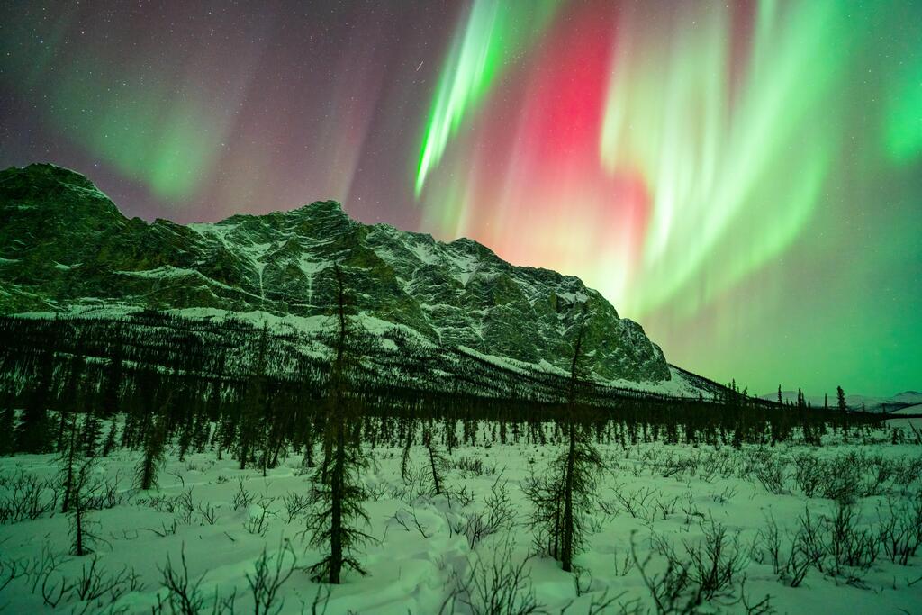 Nature is Beautiful on Twitter: "A very red aurora last week in the Brooks Range, AK [OC ...