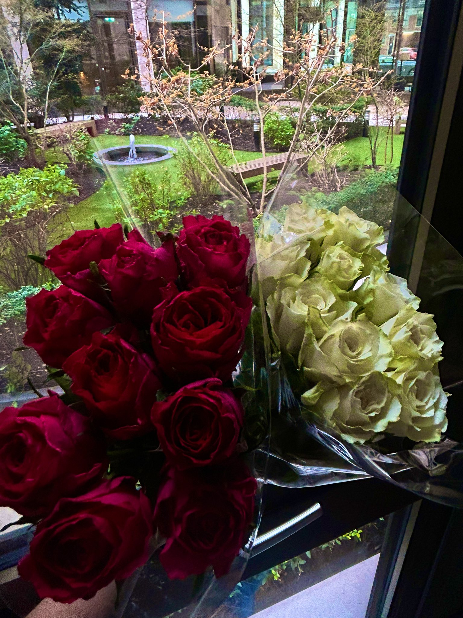 Liza Begum (@LizaBegum_) / Twitter