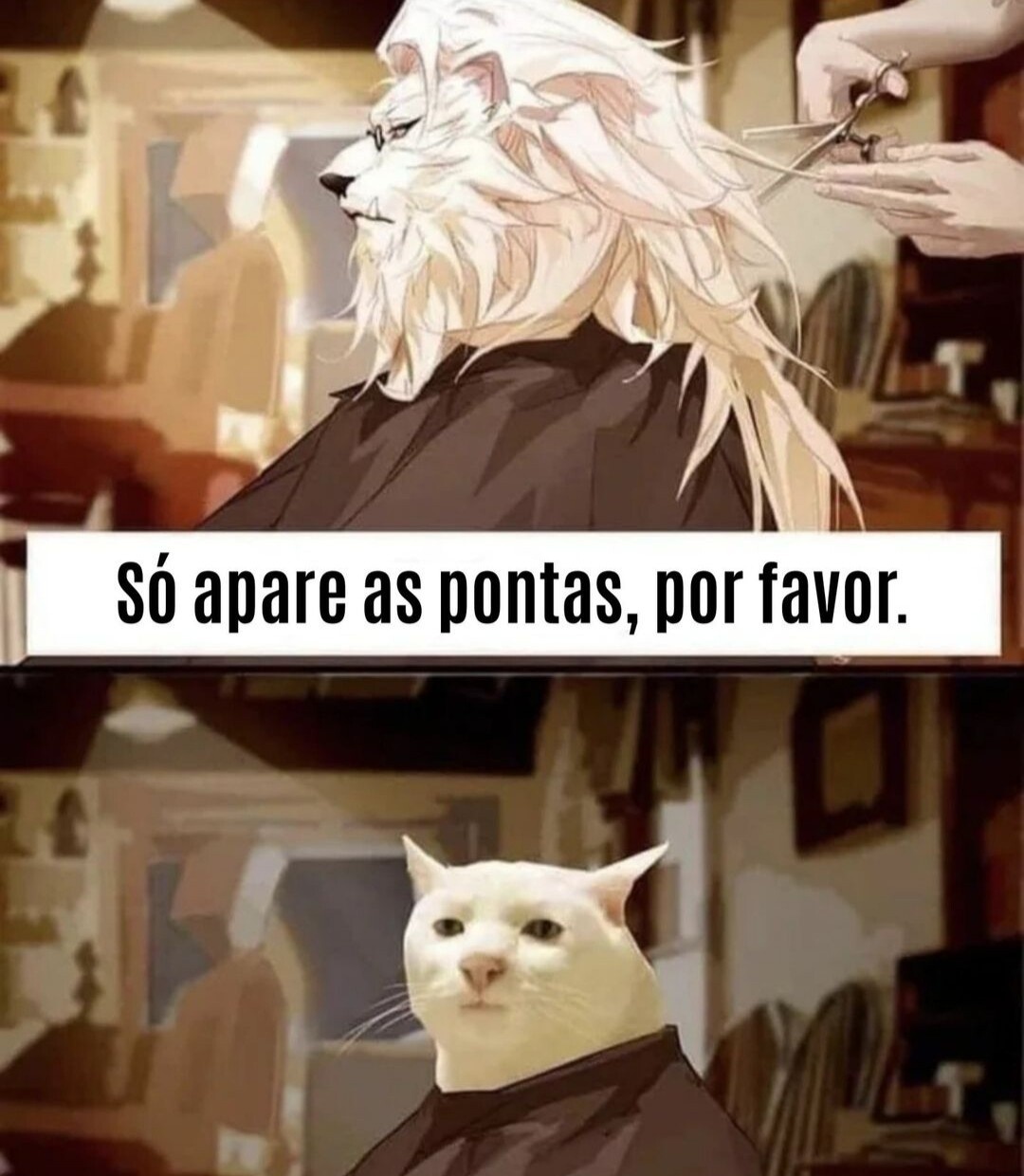 Shitpost só que de verdade on Twitter: "https://t.co/urdmLiCrNm" / Twitter