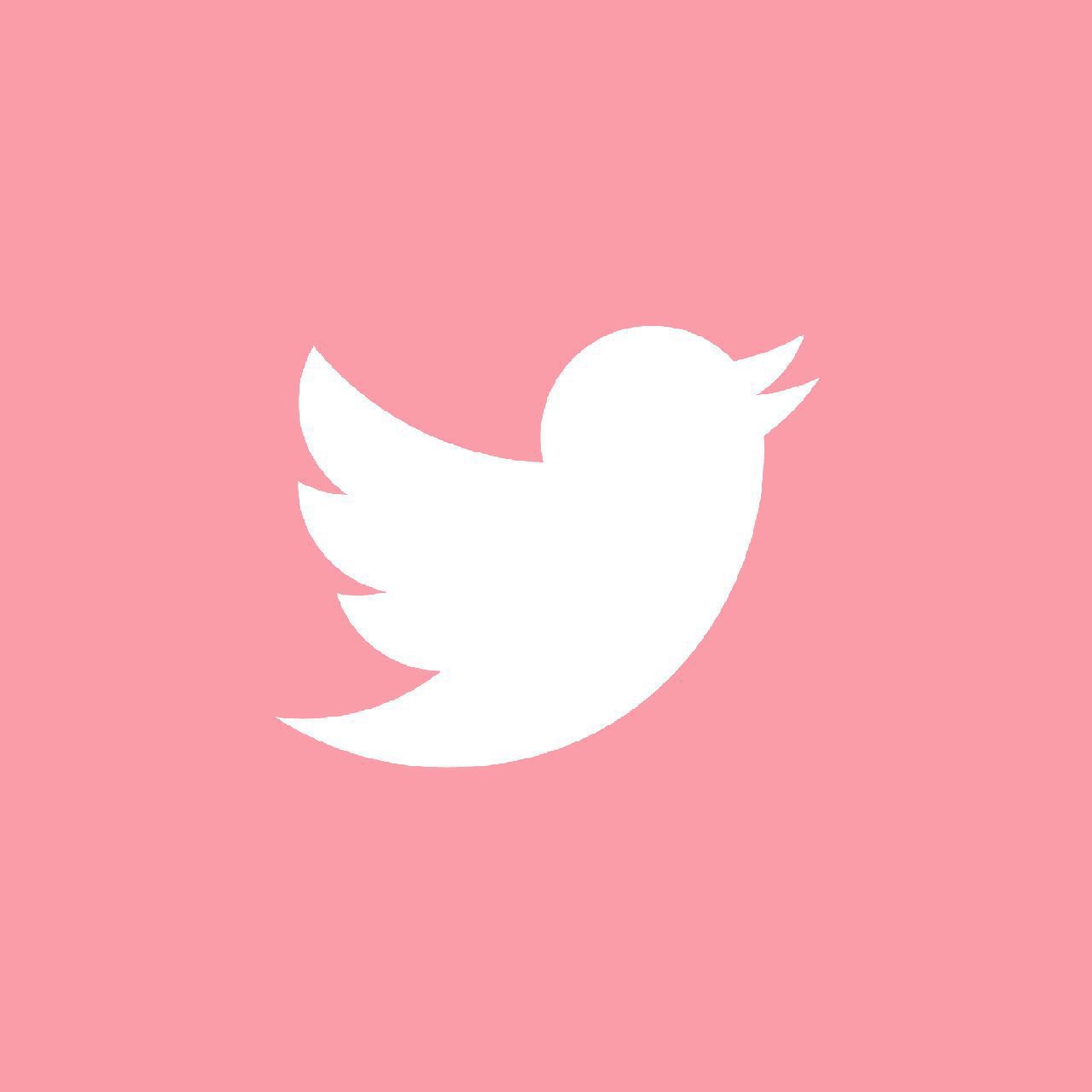 Pink Twitter Icon