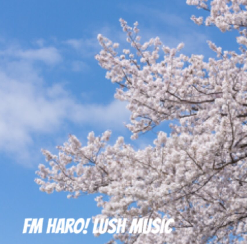 LIVE812📣supporter on Twitter: "∘₊ ──────── ₊∘ しおP Presents @6aVFRj2Mce43cJ8 FM Haro! LushMusic 月 ...