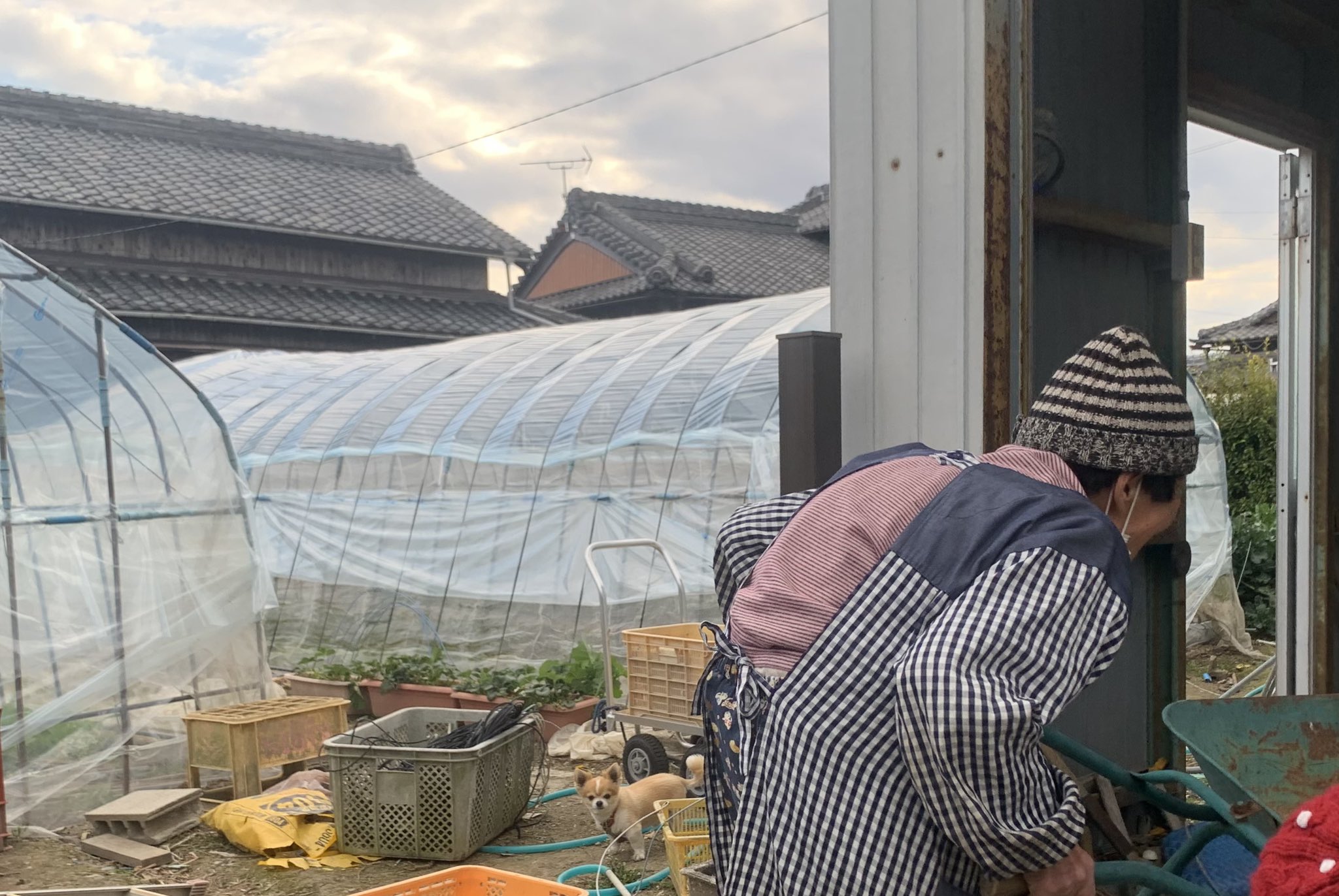 (32) on Twitter: "https://t.co/y0Csid6F31" / Twitter