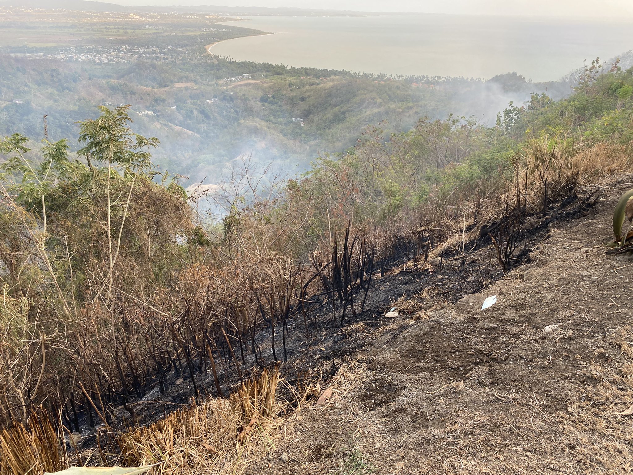 Kuppy on Twitter: "Just spent 10 hours running hose lines and working ...