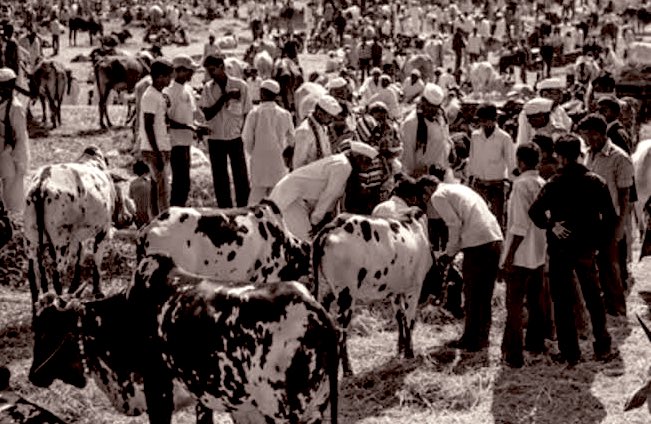 A 1966 Hindu massacre in Delhi: When Indira Gandhi government killed ...