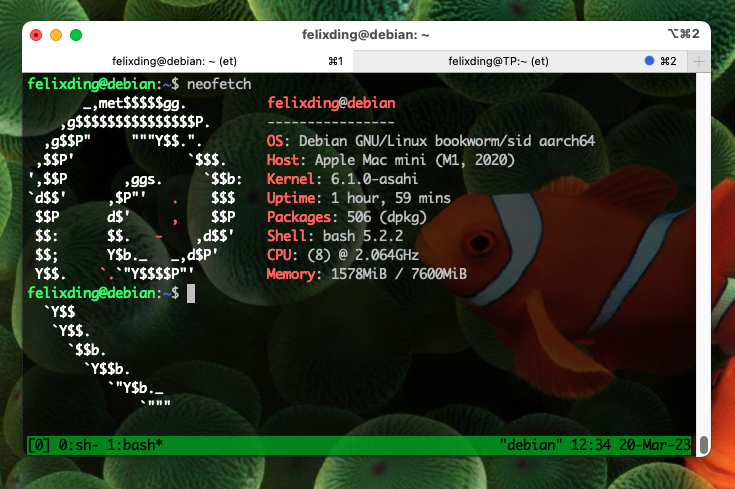 丁宇 | DING Yu on Twitter: "给办公室闲置的Mac Mini装了Asahi Linux，过程很顺利，配置虽然低但秒杀旁边用来做服务器的ThinkPad（速度x3）。"