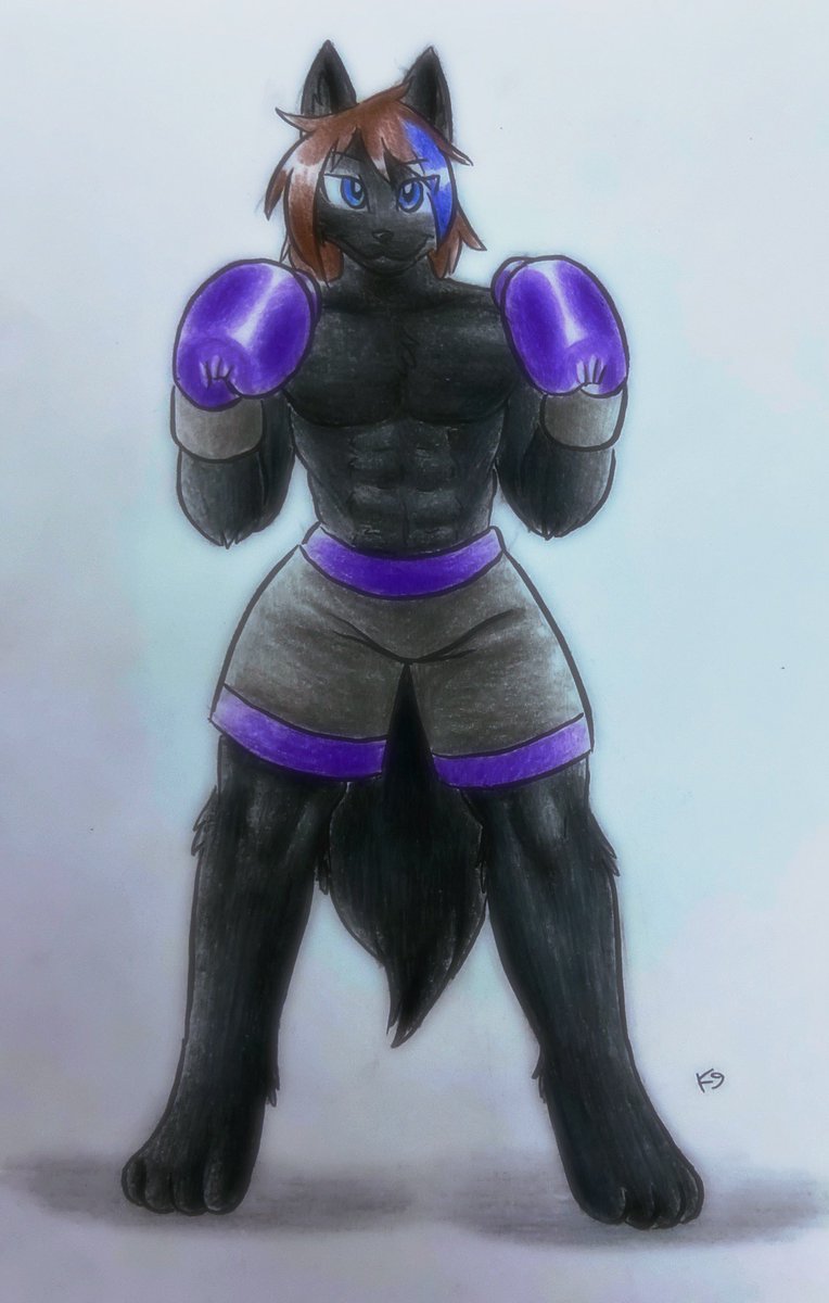The K9 Empire - (COMMISSIONS OPEN) on Twitter: "Boxer wolf design Commission for @ZekroCrafter ...