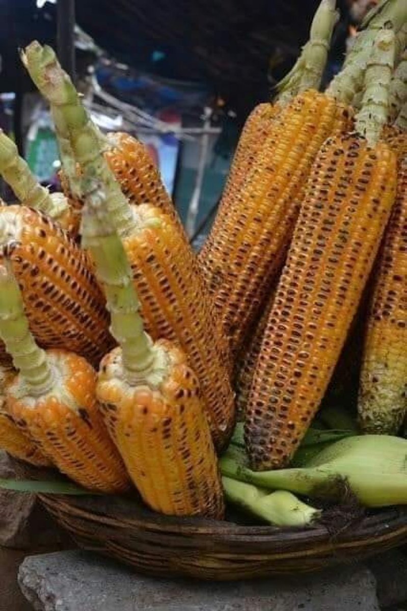 🌽🇷🇼 7 Tips for successfully growing #maize in Rwanda. Tip(7) will help ...
