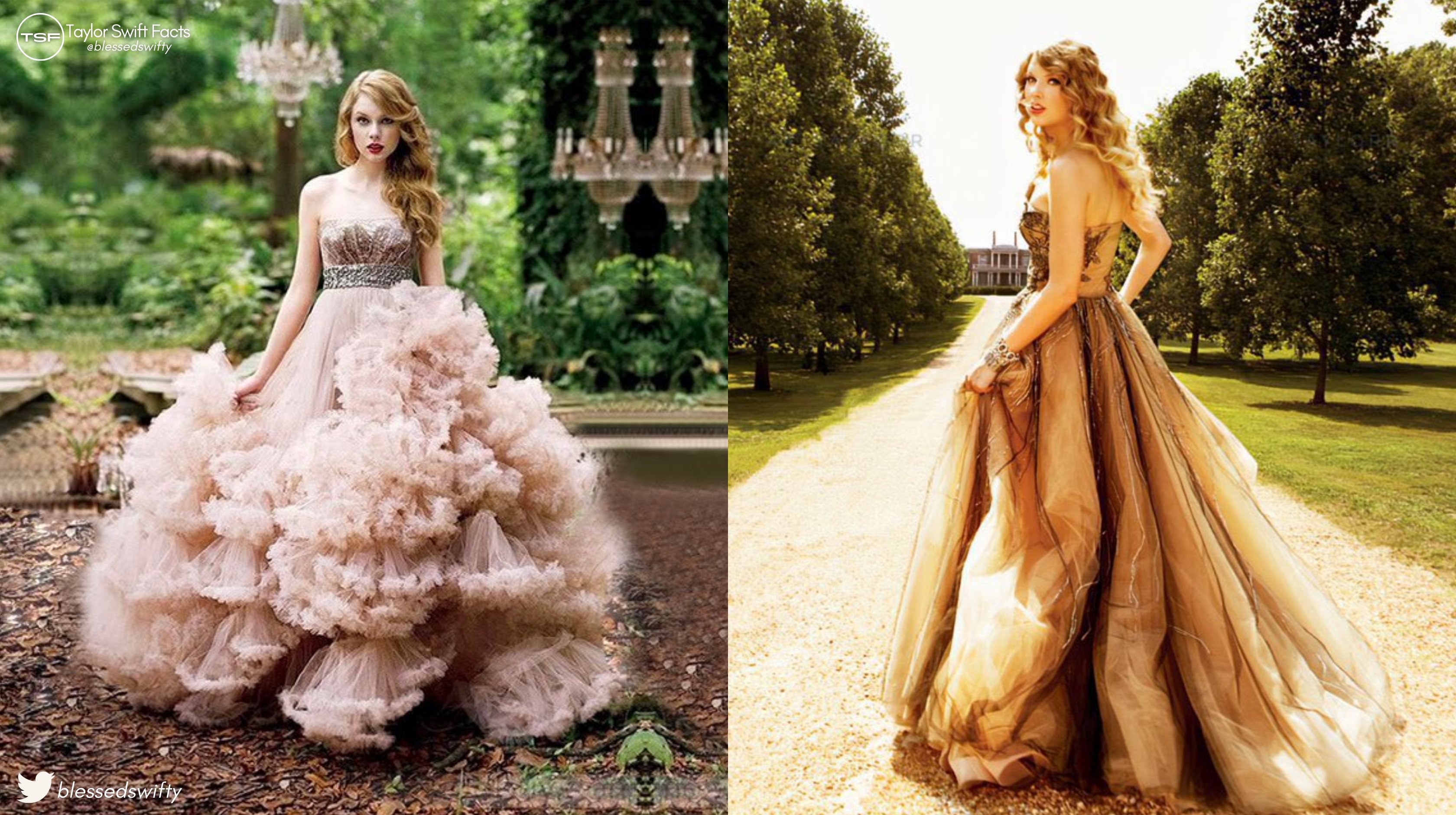 Enchanted Taylor Swift Dress Enchanted Taylor Swift Dress
