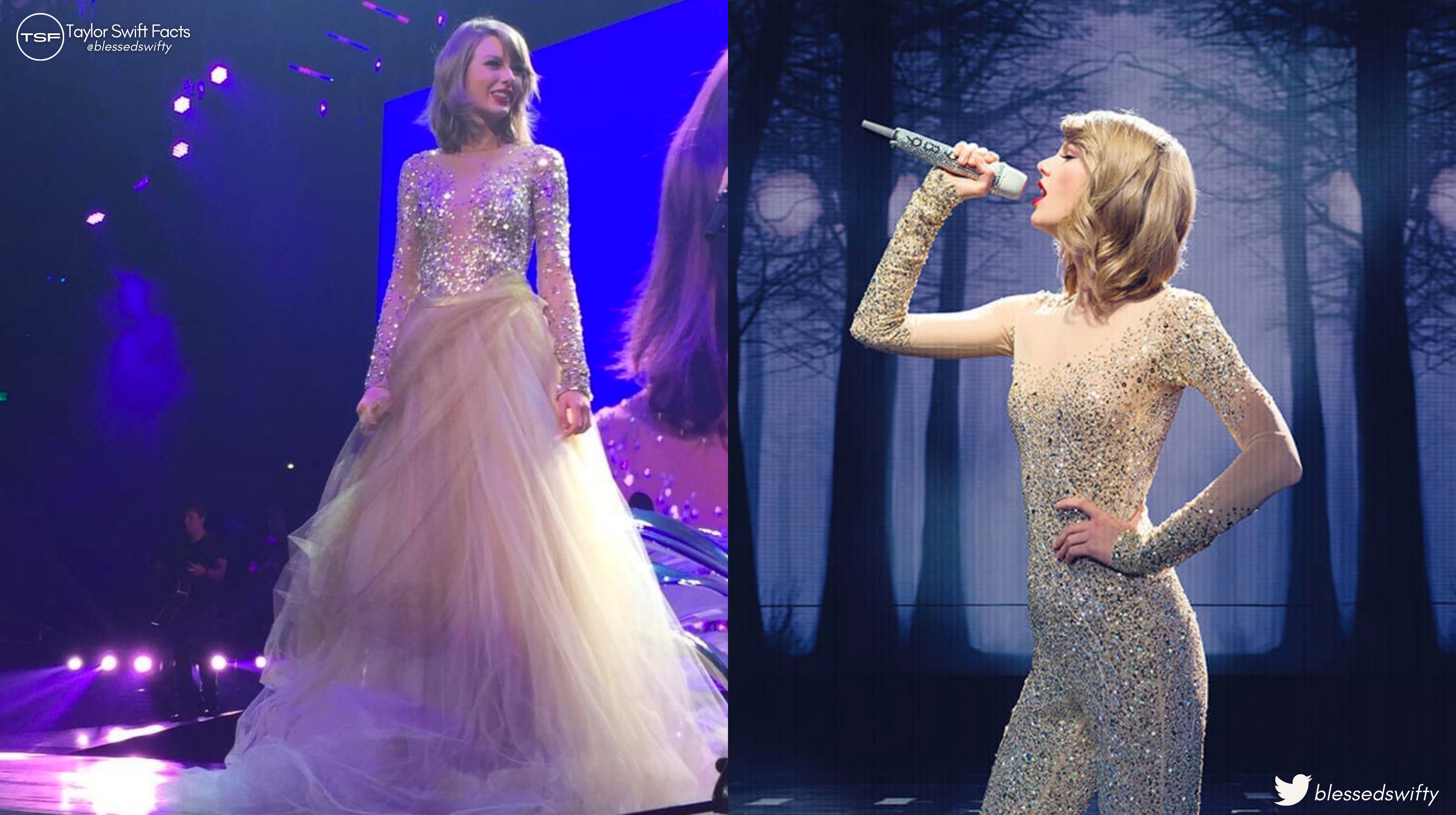 Enchanted Taylor Swift Dress