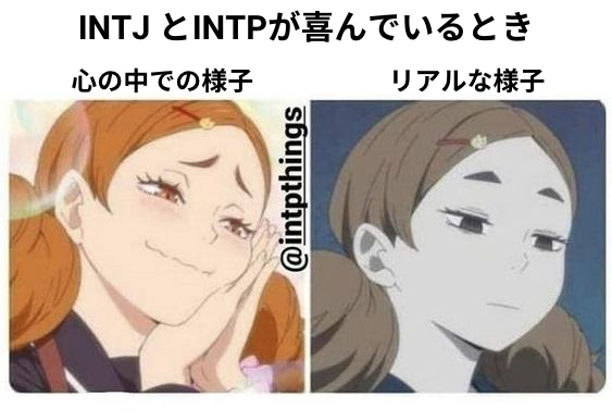 16type｜mbti 投票Bot on Twitter: "RT @BooJapan1: INTJとINTPが喜んでいる時😊 👻: http://signup.boo.world ...