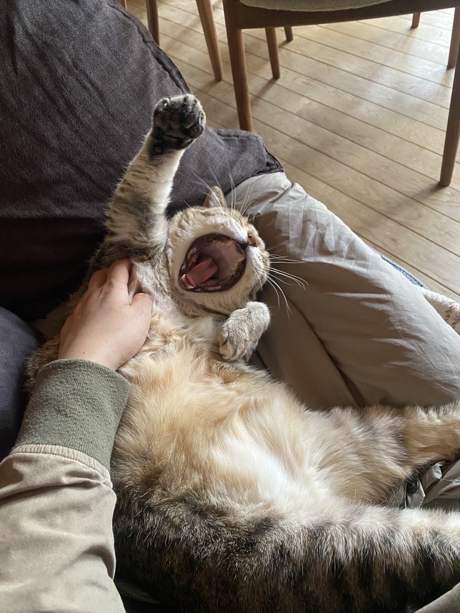 atsu_sasa(@atsu_sasa) - Twilog (ツイログ)