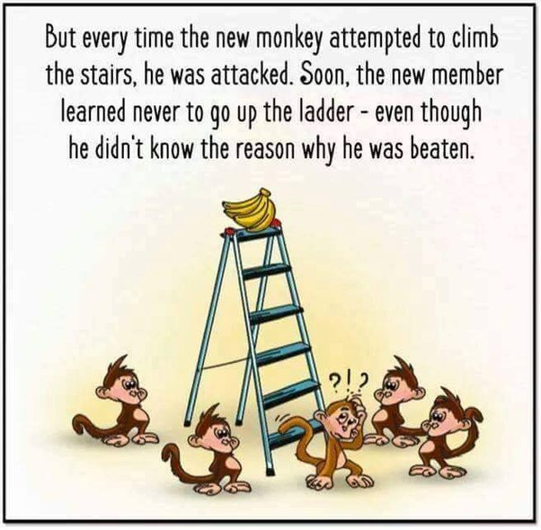 The Monkey Experiment: Find out how 'herd mentality' applies to you ...