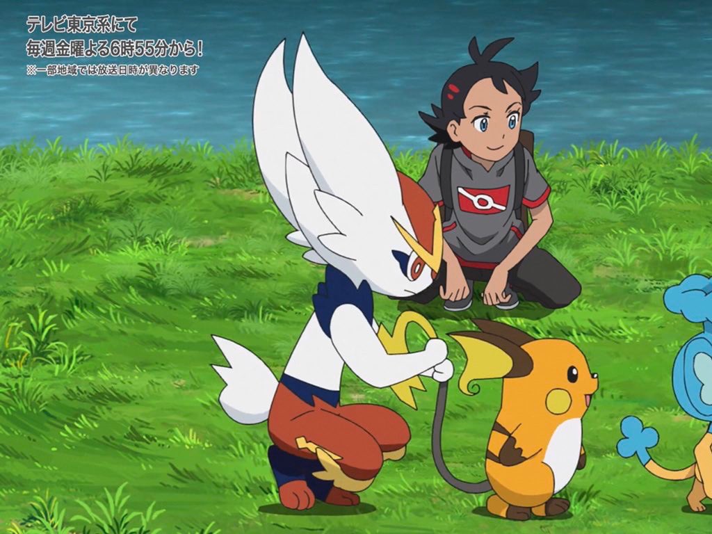 Cinderace Propaganda! (NSFW DNI!) on Twitter: "My favorite activity? Cinderace posting!!"