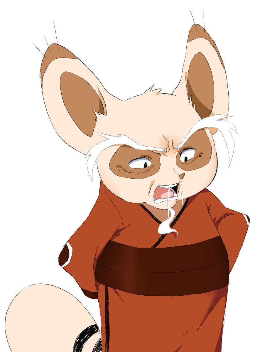 Kung Fu Panda Characters Shifu